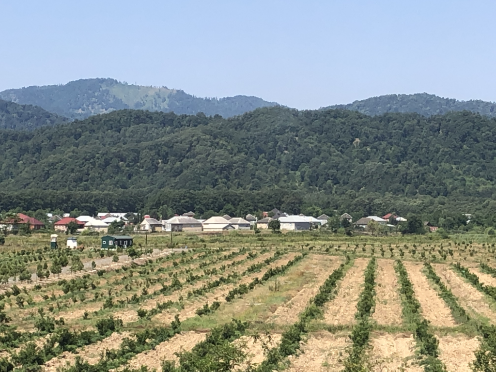 Azerbaijan: A Smooth Beginning (Part One) | IMPL. PROJECT Azerbaijan: A Smooth Beginning (Part One) | IMPL. PROJECT