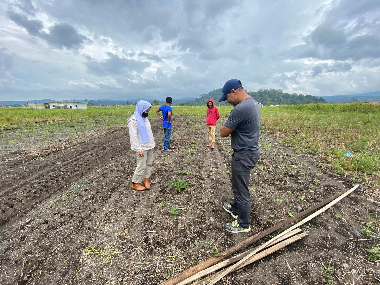 Data Collection – IMPL. PROJECT