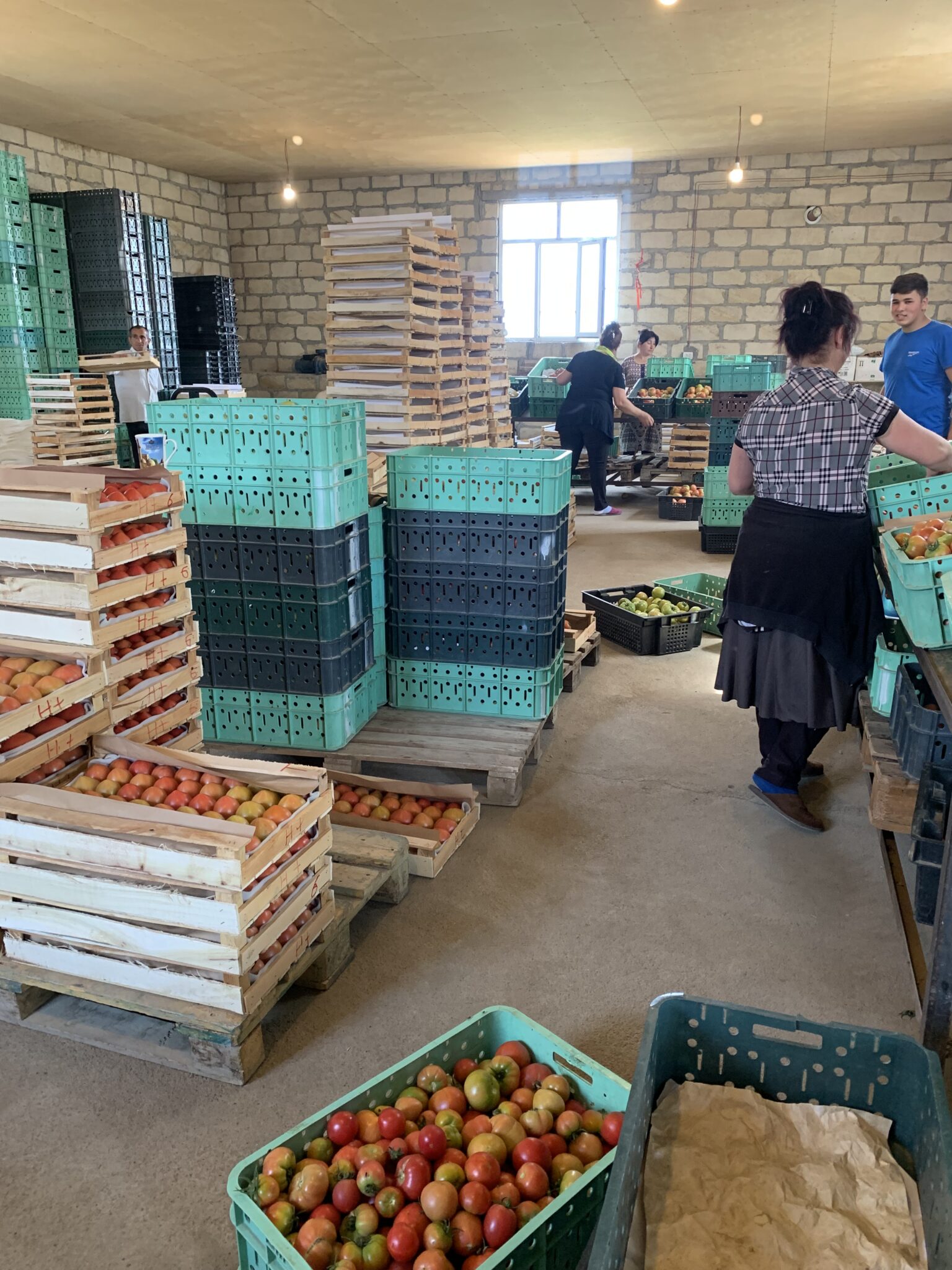 International Research & Analysis – IMPL. PROJECT