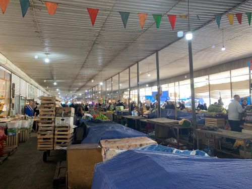 Data Collection – IMPL. PROJECT